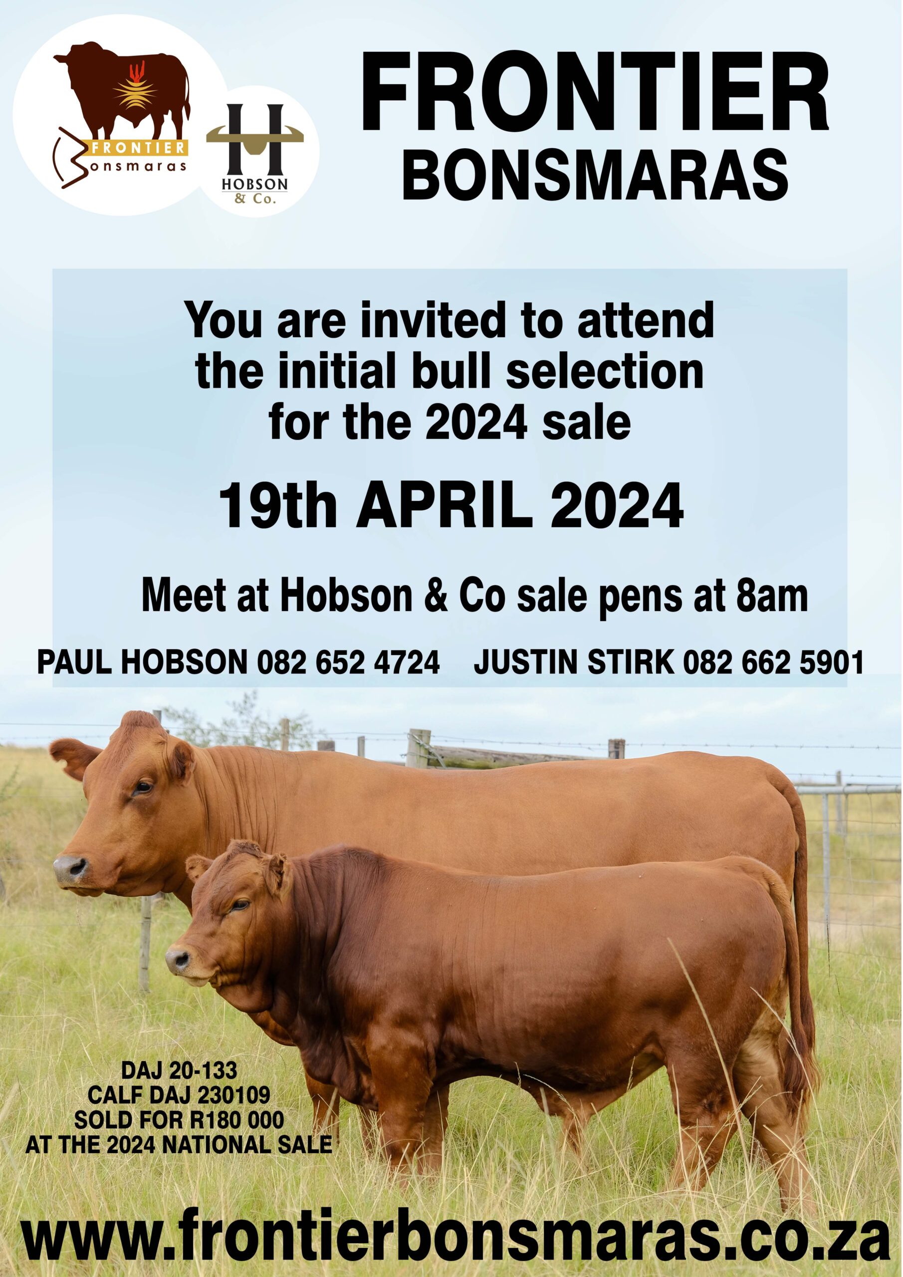 Frontier Bonsmaras Farmers Day - Frontier Bonsmaras
